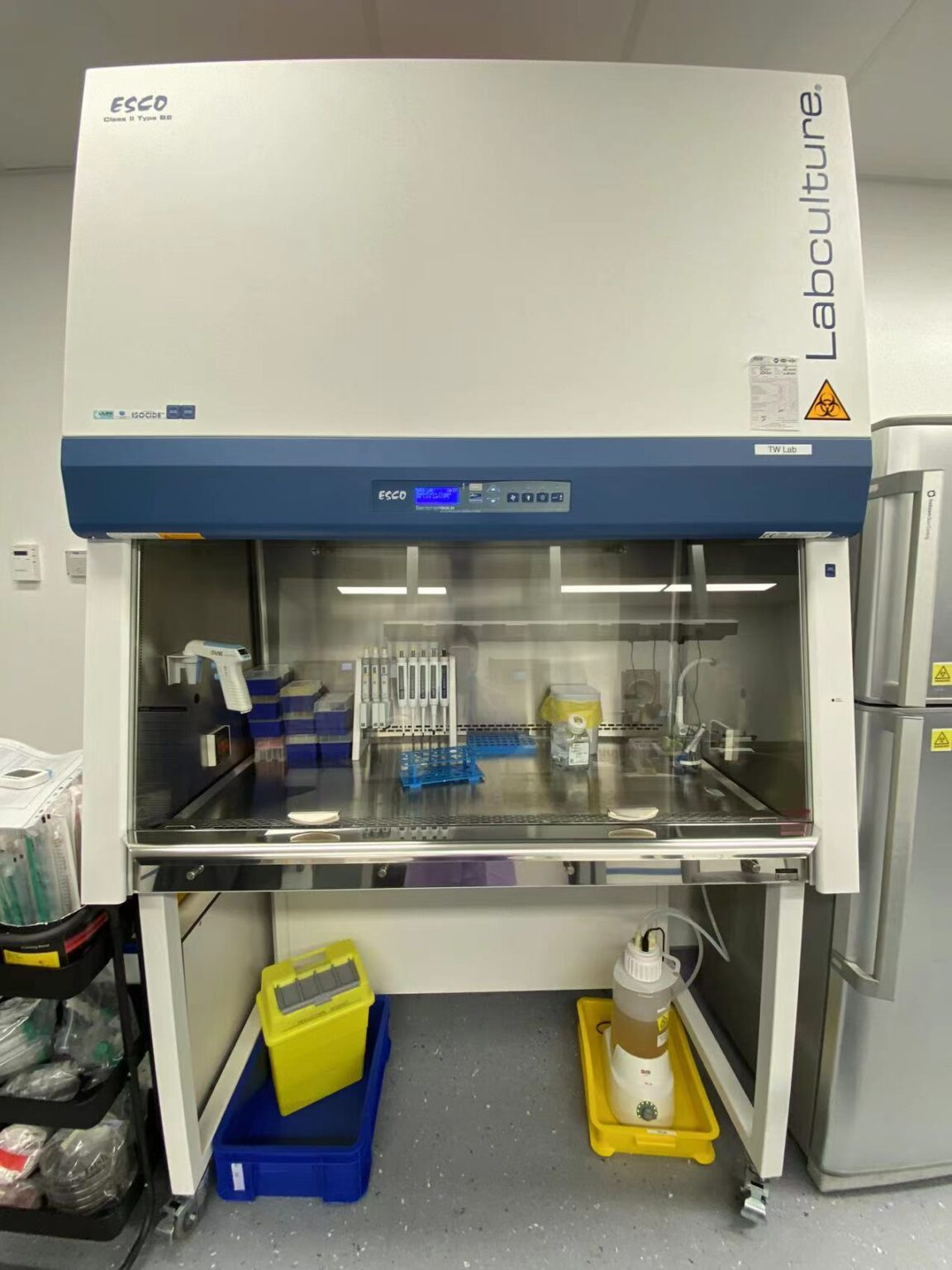 Gallery – The Tang Wei Lab